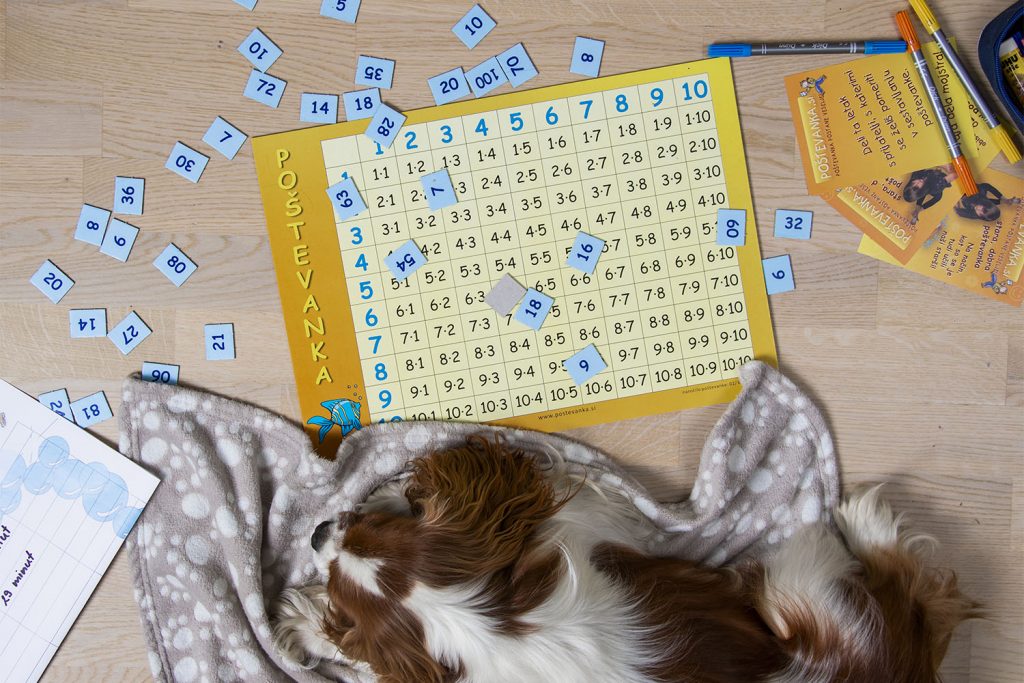 Poštevanka didaktični pripomoček - Napravimo matematiko zanimivo